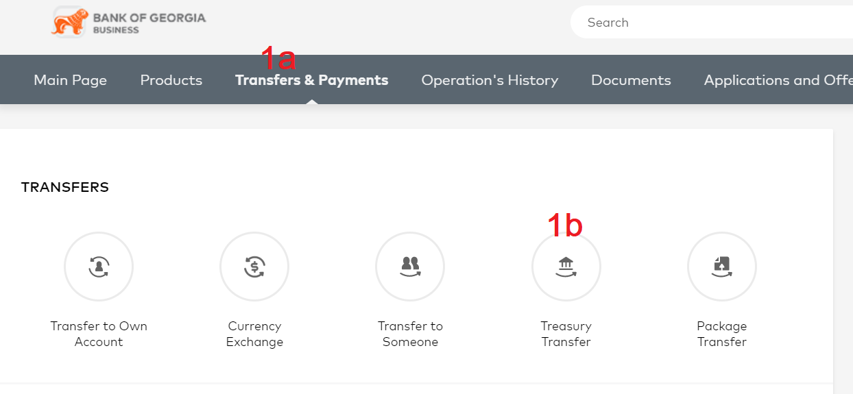 How To Pay Your Taxes To The Treasury (Georgia) | ExpatHub.GE